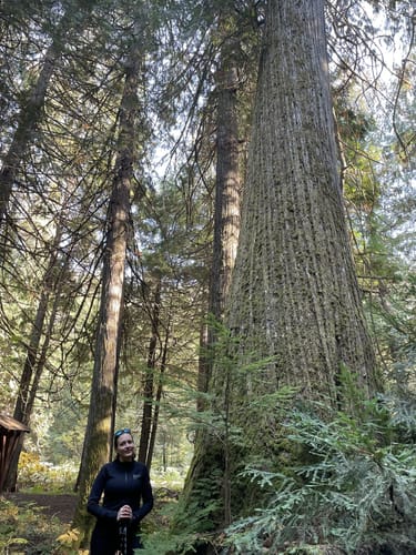 Best Hikes and Trails in Goat Range Provincial Park | AllTrails