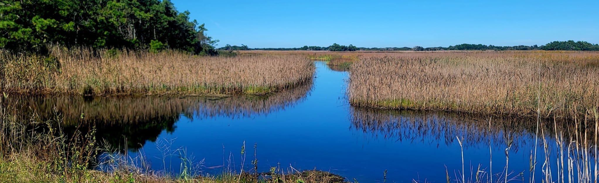 West Dike, Barbour Hill, Sand Ridge Beach Loop [CHIUSO] - Virginia ...