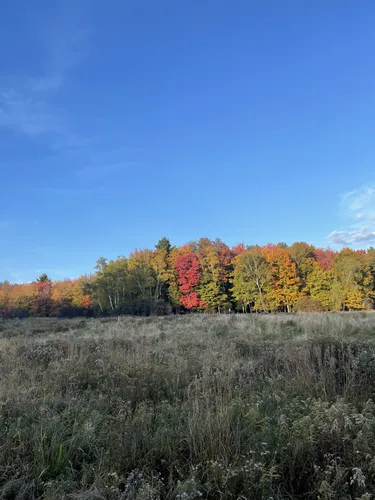 Best Hikes and Trails in Beebe Plain | AllTrails