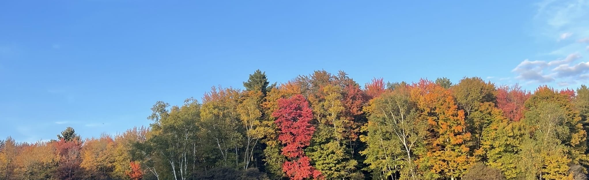 Eagle Point Trail, Vermont - 38 Reviews, Map | AllTrails