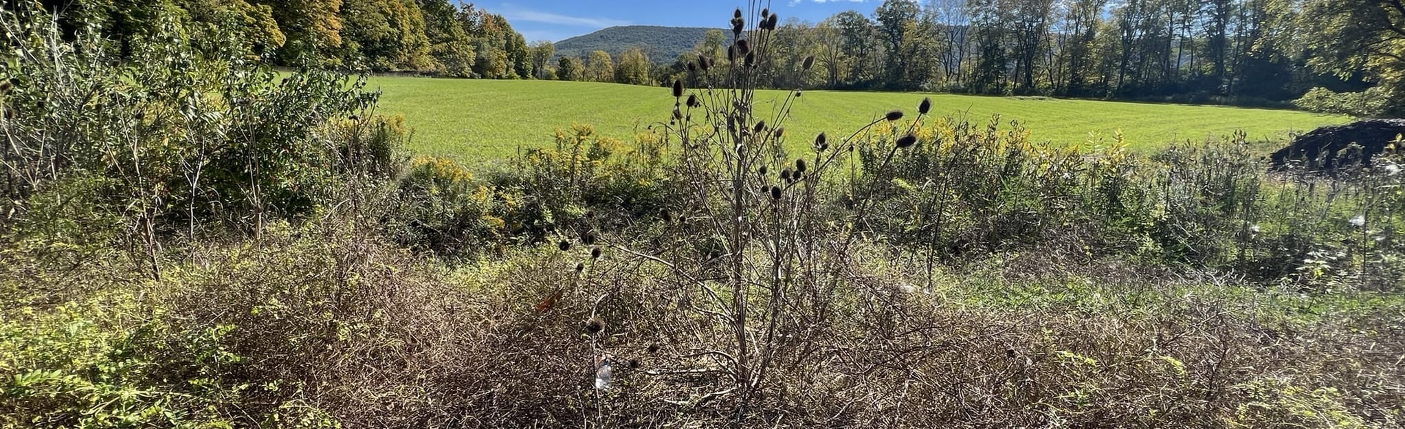 Boal Mansion Outer Loop Trail, Pennsylvania - 13 Reviews, Map | AllTrails