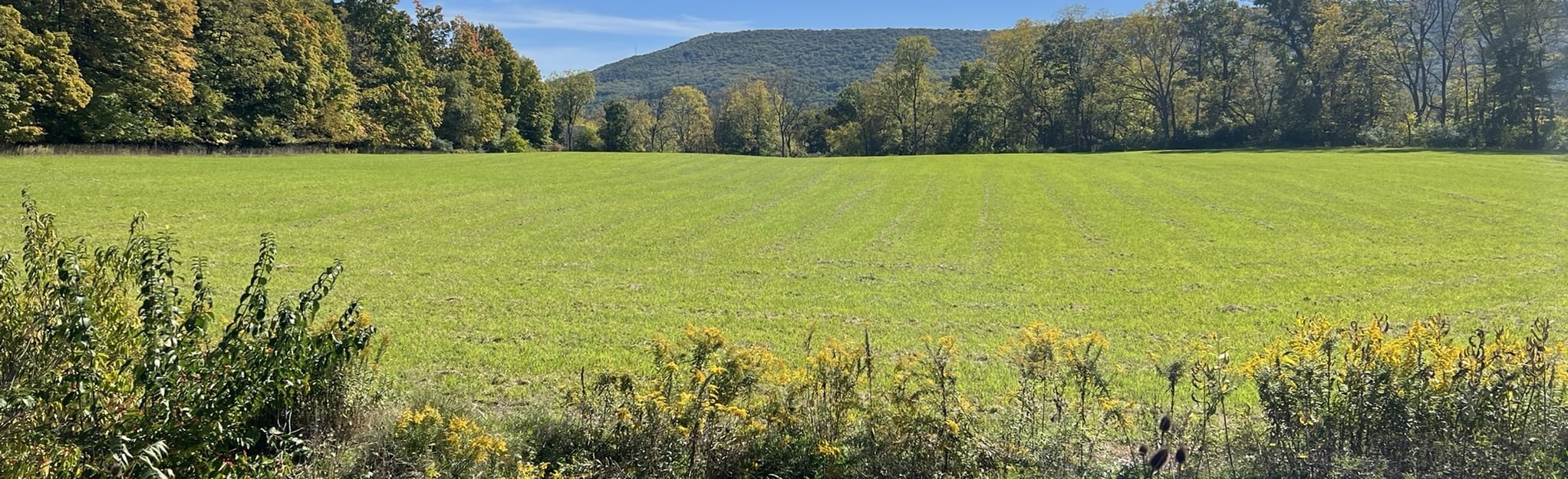 Boal Mansion Outer and Purple Trail Loop, Pennsylvania - 25 Reviews ...