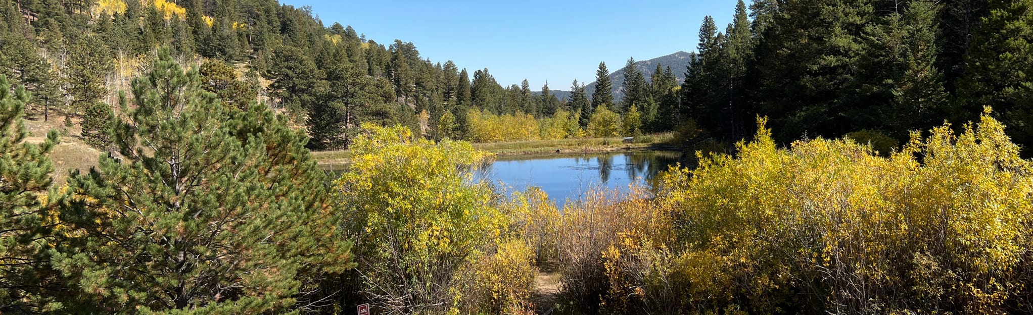 Buffalo Trail: 311 Reviews, Map - Colorado | AllTrails