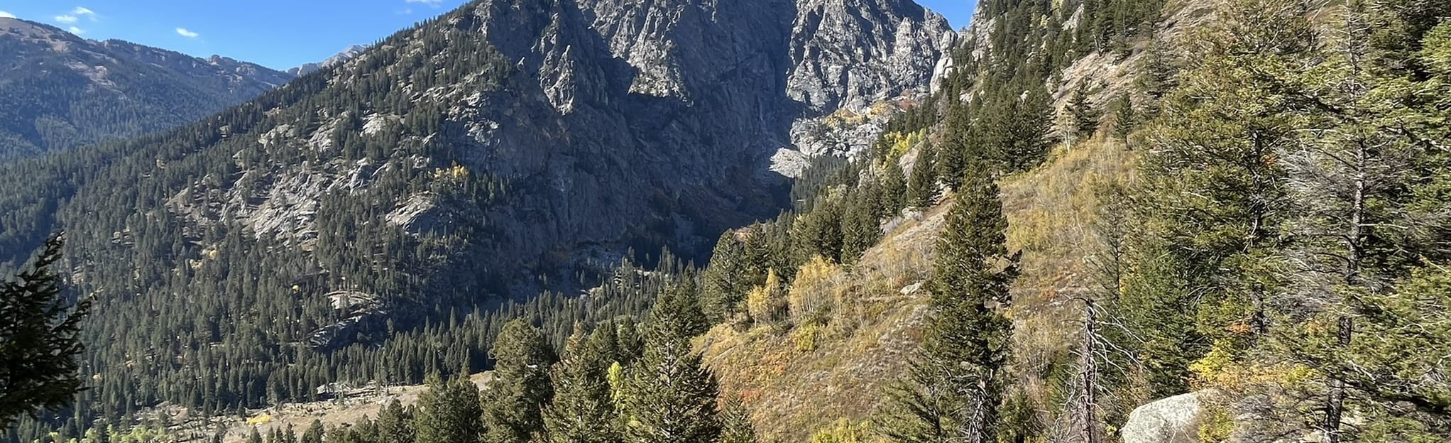 Phelps Lake Overlook via Valley Trail, Wyoming - 727 Reviews, Map ...