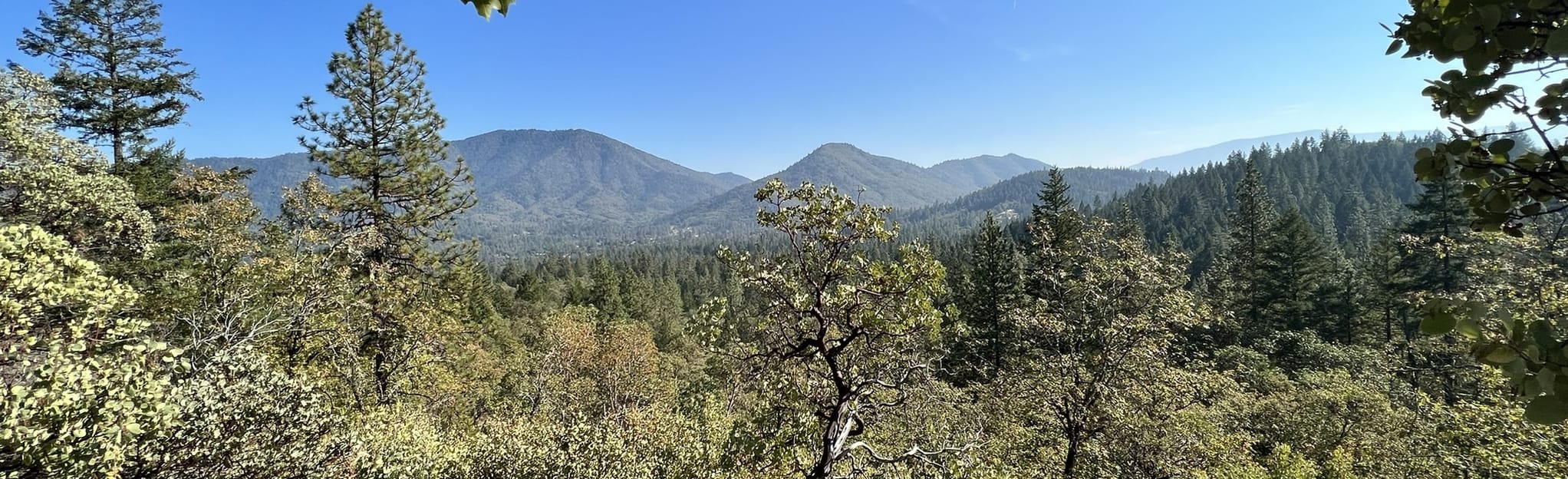 Walker Trail, Outback Loop, Timber Riders Trail, and Zed's Trail Loop ...