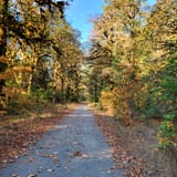 Lake Constance Trail, Washington - 227 Reviews, Map | AllTrails