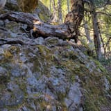 Lake Constance Trail, Washington - 227 Reviews, Map | AllTrails