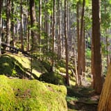 Lake Constance Trail, Washington - 227 Reviews, Map | AllTrails