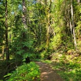 Lake Constance Trail, Washington - 227 Reviews, Map | AllTrails
