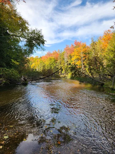 Best River Trails in Honor | AllTrails