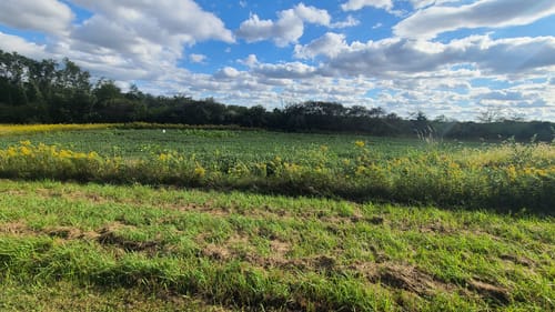 2023 Best Moderate Trails in Kickapoo State Park | AllTrails