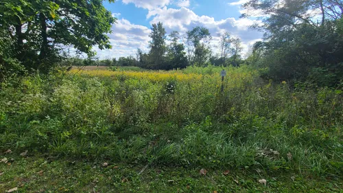 10 Best Hikes and Trails in Kickapoo State Park | AllTrails