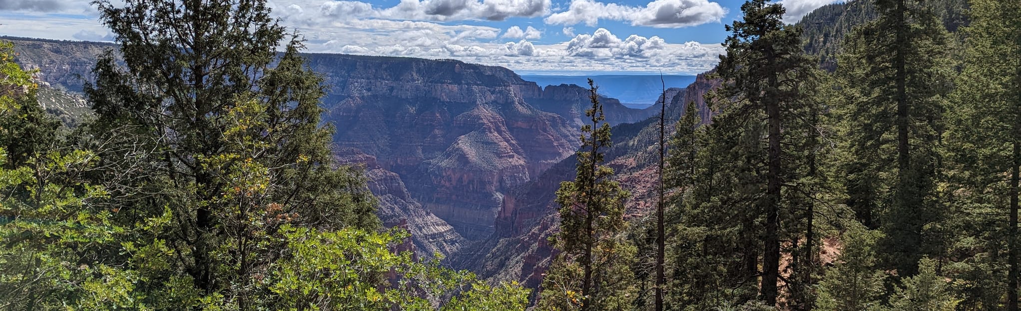 North Kaibab Trail to Supai Tunnel and Coconino Overlook: 1.398 fotos ...