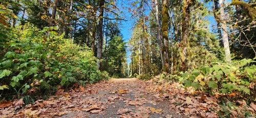 10 Best Trails and Hikes in Campbell River | AllTrails