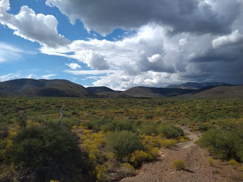 Best Hikes and Trails in Sierra Ancha Wilderness Area | AllTrails