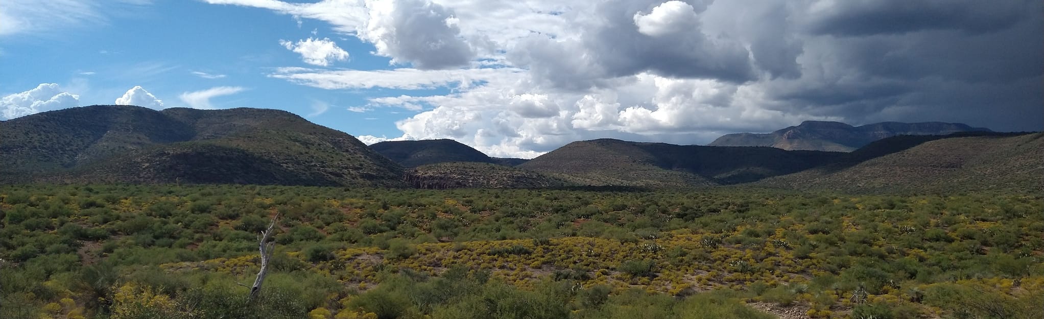 Coon Creek Ruins and Cliff Dwellings of the Sierra Ancha: 27 Reviews ...