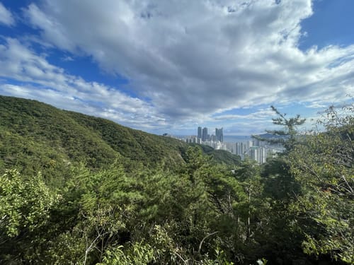 2023 Best 10 Trails and Hikes in Busan | AllTrails