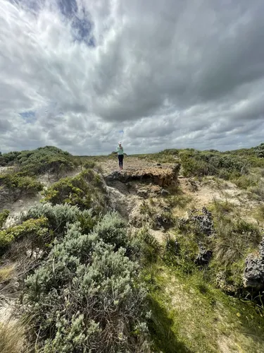 Best Hikes and Trails in Piccaninnie Ponds Conservation Park | AllTrails
