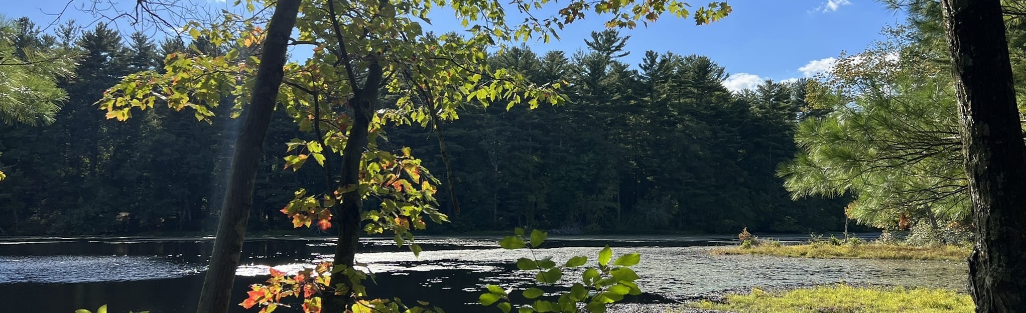Estabrook and Punkatasset Woods Loop, Massachusetts - 533 Reviews, Map ...