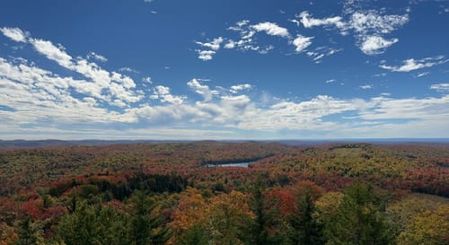 2023 Best Forest Trails in Independence River Wild Forest | AllTrails