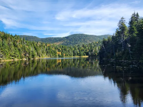 10 Best Hikes and Trails in Mount Mansfield State Forest | AllTrails