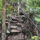 Magens Bay Beach Trail, Saint Thomas, US Virgin Islands - 296 Reviews ...