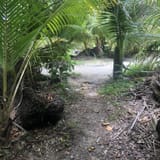 Magens Bay Beach Trail, Saint Thomas, US Virgin Islands - 296 Reviews ...