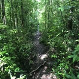 Magens Bay Beach Trail, Saint Thomas, US Virgin Islands - 296 Reviews ...