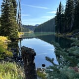 Devils Lake Trail, Oregon - 210 Reviews, Map | AllTrails