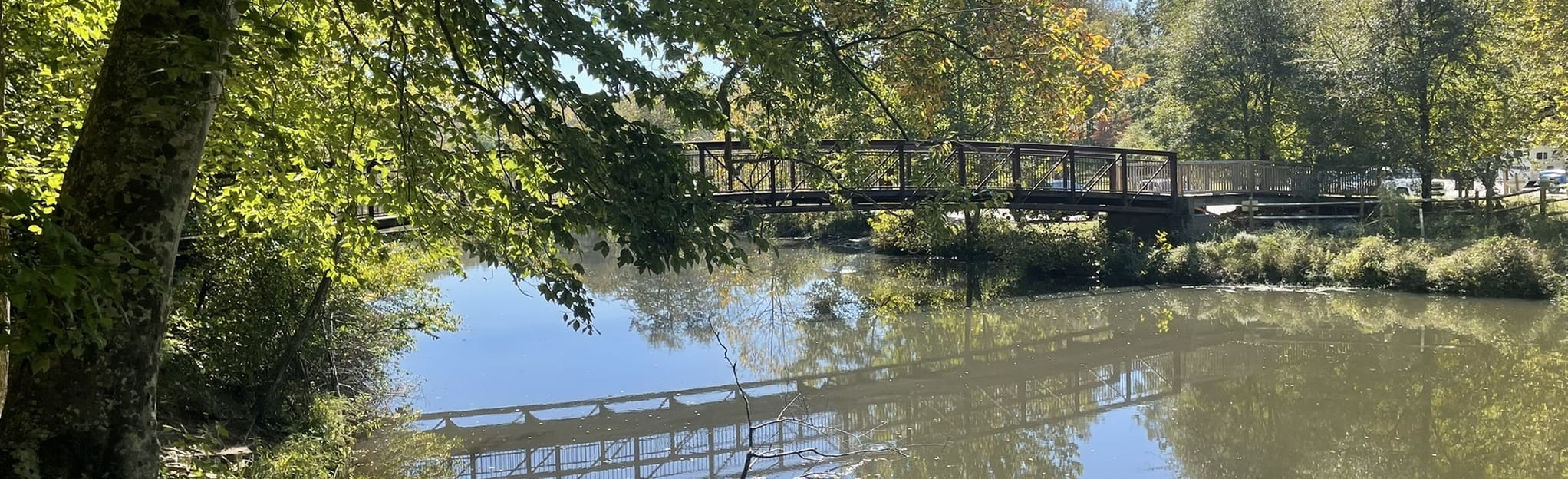 Forest Exploration Trail - Virginia | AllTrails