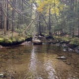 Little Harbor Brook Trail, Maine - 164 Reviews, Map | AllTrails