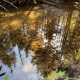 Little Harbor Brook Trail, Maine - 164 Reviews, Map | AllTrails