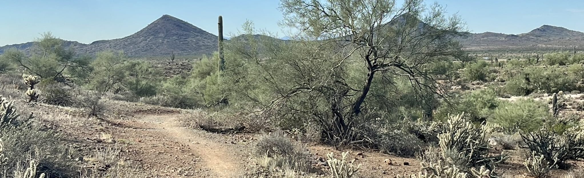 Apache Wash Trail, Arizona - 66 Reviews, Map | AllTrails