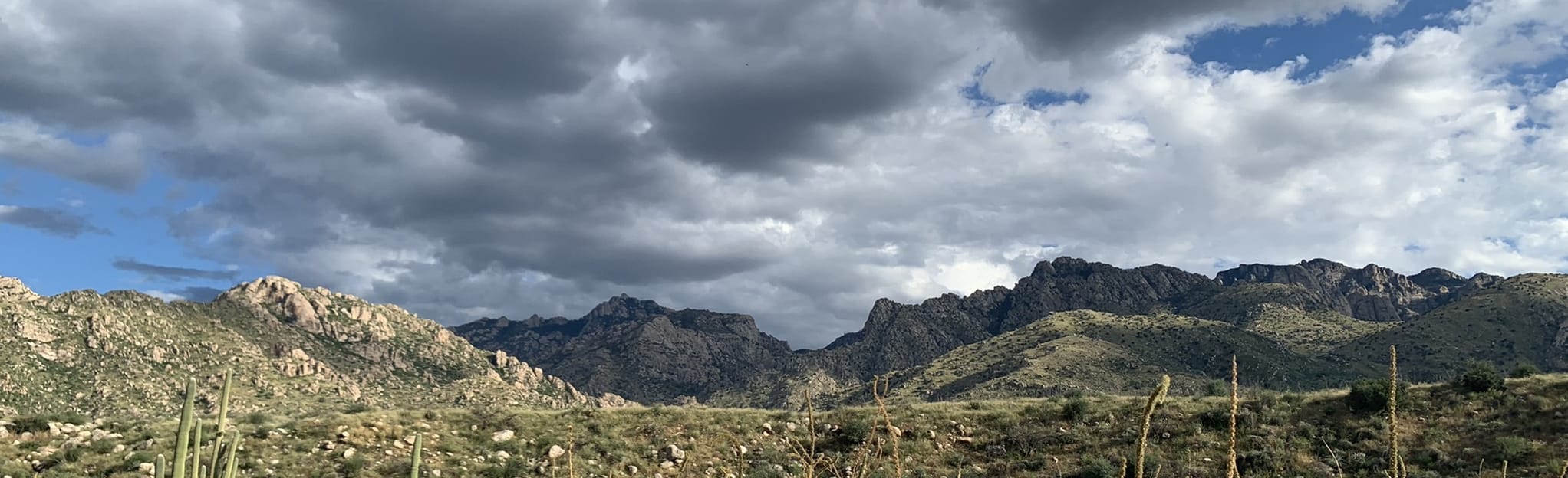 Mount Lemmon Summit Loop, Arizona - 6 Reviews, Map | AllTrails