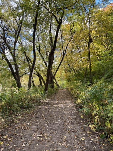 Best Hikes and Trails in Osage Spring Park | AllTrails