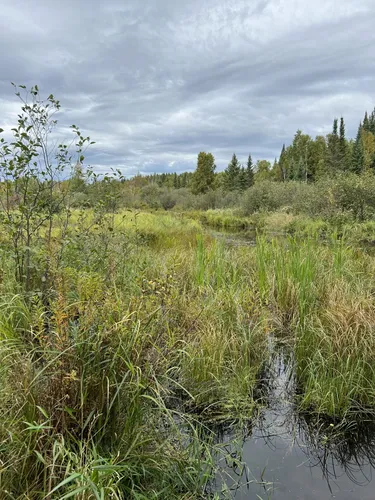 Best 10 Hikes and Trails in Chippewa National Forest | AllTrails
