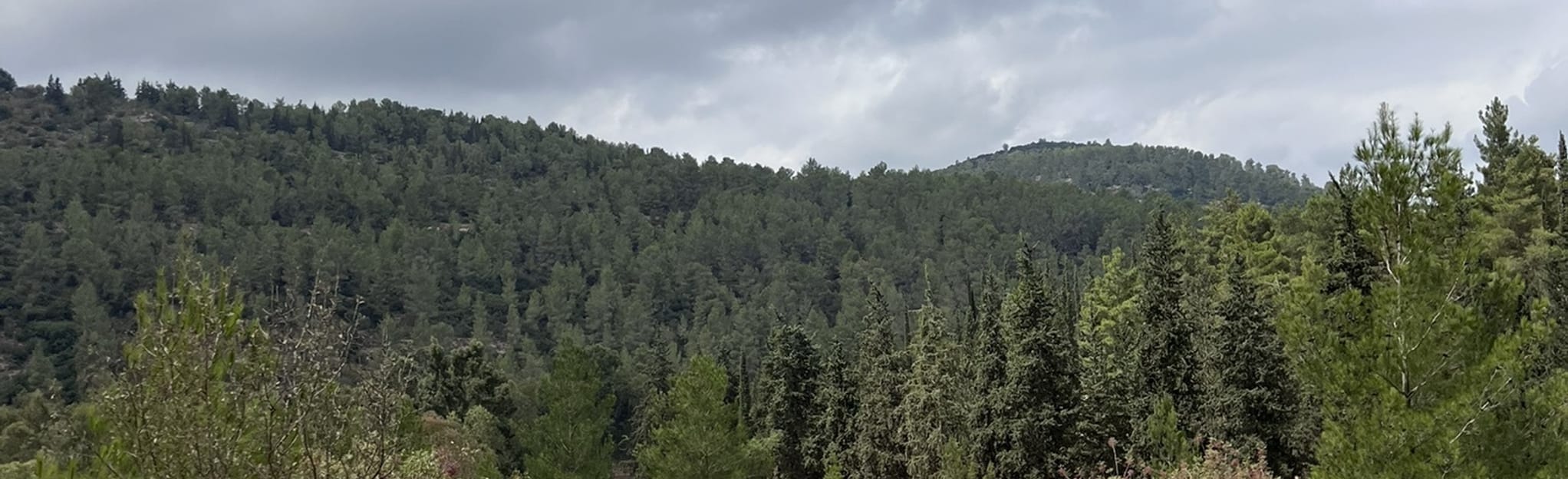 Lower Refaim Stream: 58 foto's - Jerusalem, Israël | Wandelen - AllTrails