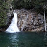 Upper Priest River Trail, Idaho - 86 Reviews, Map | AllTrails