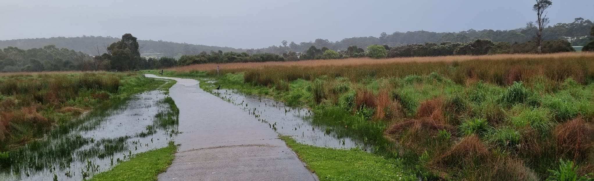 Panboola Wetlands Walk, New South Wales, Australia - 50 Reviews, Map ...