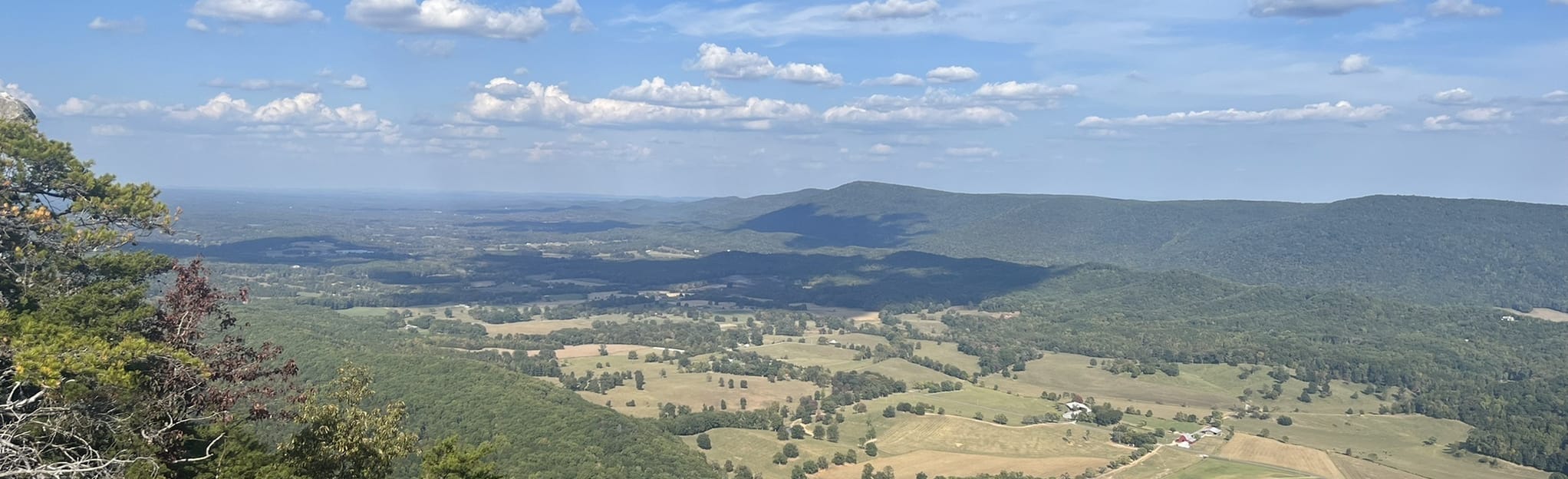 Zahnd Wildlife Area Loop: 168 Reviews, Map - Georgia | AllTrails