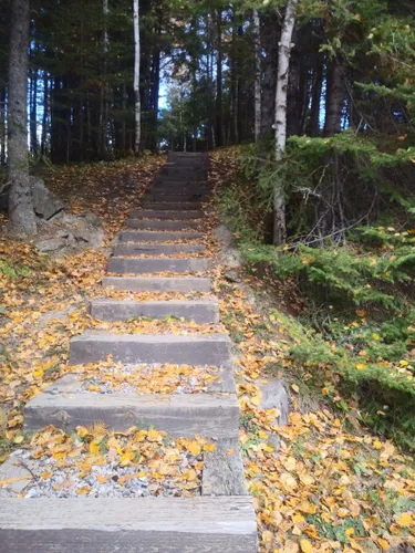 Best Hikes and Trails in Aaron Provincial Park | AllTrails