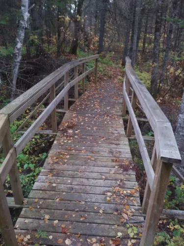 Best Hikes and Trails in Aaron Provincial Park | AllTrails