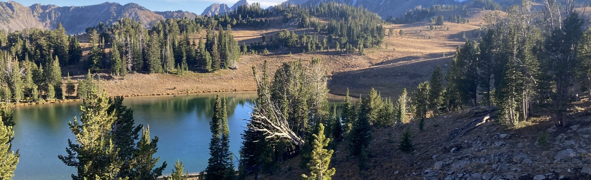 Hilgard Basin Trail: 32 Reviews, Map - Montana | AllTrails