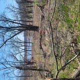 Perry Lake Hiking Trail, Kansas - 110 Reviews, Map | AllTrails