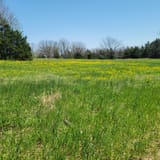 Perry Lake Hiking Trail, Kansas - 110 Reviews, Map | AllTrails