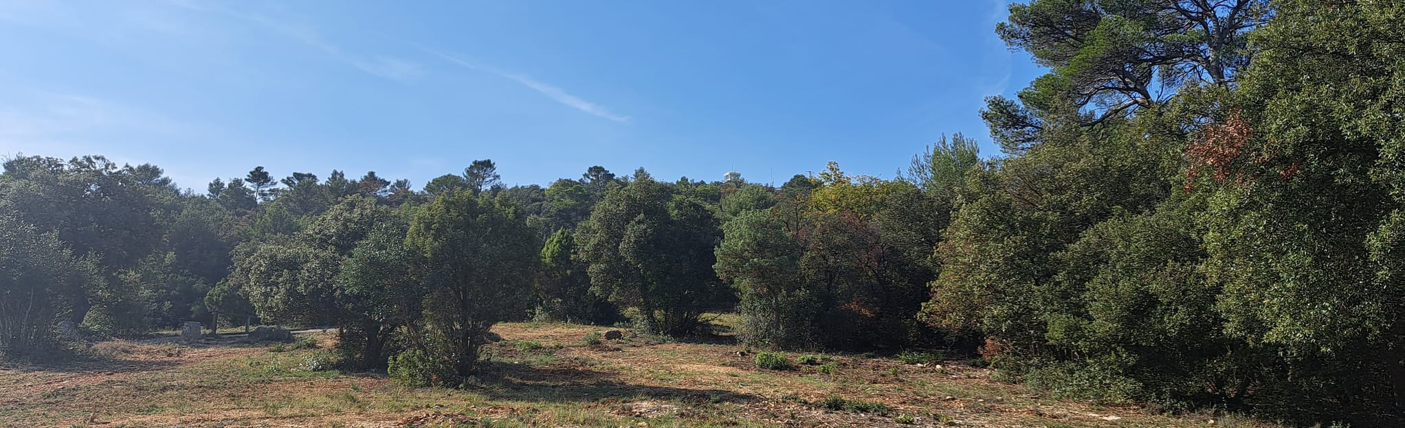 Le Regagnas - Peynier - Trets, Var, France - 8 Reviews, Map | AllTrails