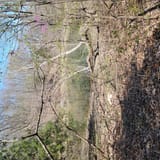 Perry Lake Hiking Trail, Kansas - 110 Reviews, Map | AllTrails