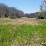 Perry Lake Hiking Trail, Kansas - 110 Reviews, Map | AllTrails