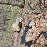 Perry Lake Hiking Trail, Kansas - 110 Reviews, Map | AllTrails