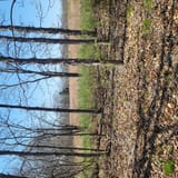 Perry Lake Hiking Trail, Kansas - 110 Reviews, Map | AllTrails